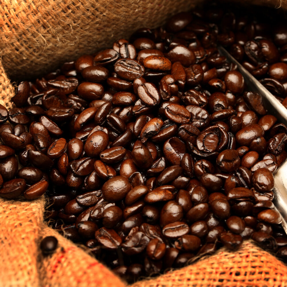 Brodart Packaging au Paris Coffee Show 2025 : accompagner la filière ...